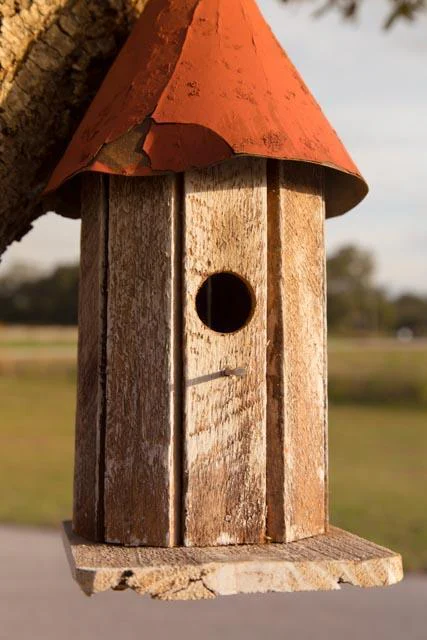 Amish Bird Houses | Solid Made from Poly & Wood | DutchCrafters