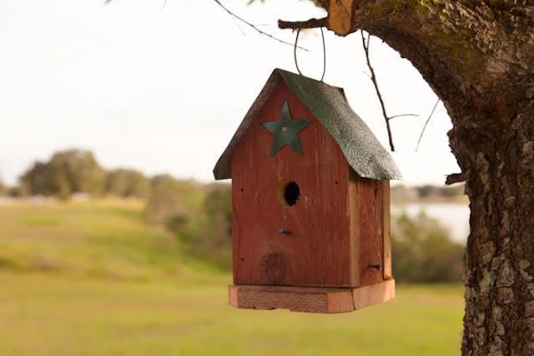 Amish Bird Houses | Solid Made from Poly & Wood | DutchCrafters