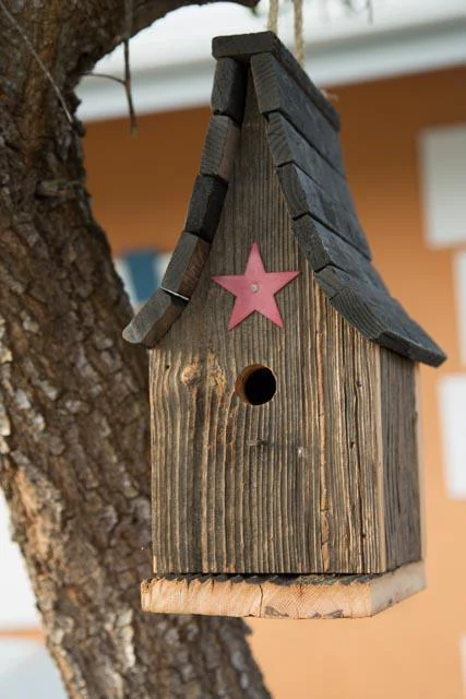 Amish Bird Houses | Solid Made from Poly & Wood | DutchCrafters