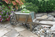 Amish Wagon & Wheelbarrow Collection