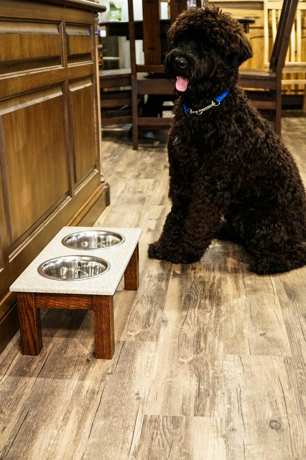 Double Bowl Dog Diner - Quick Ship by Dutchcrafters Amish Furniture