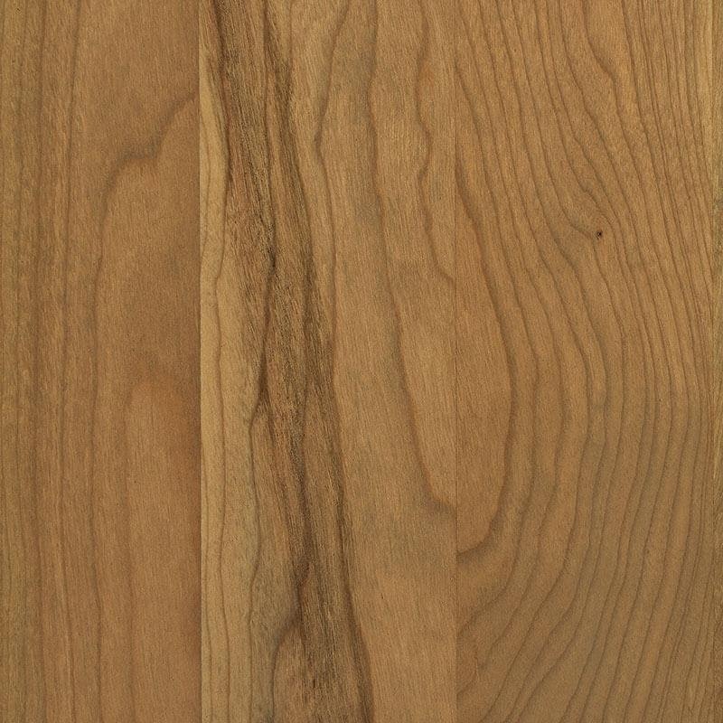 PCL Sample -Sap Cherry - Seashell