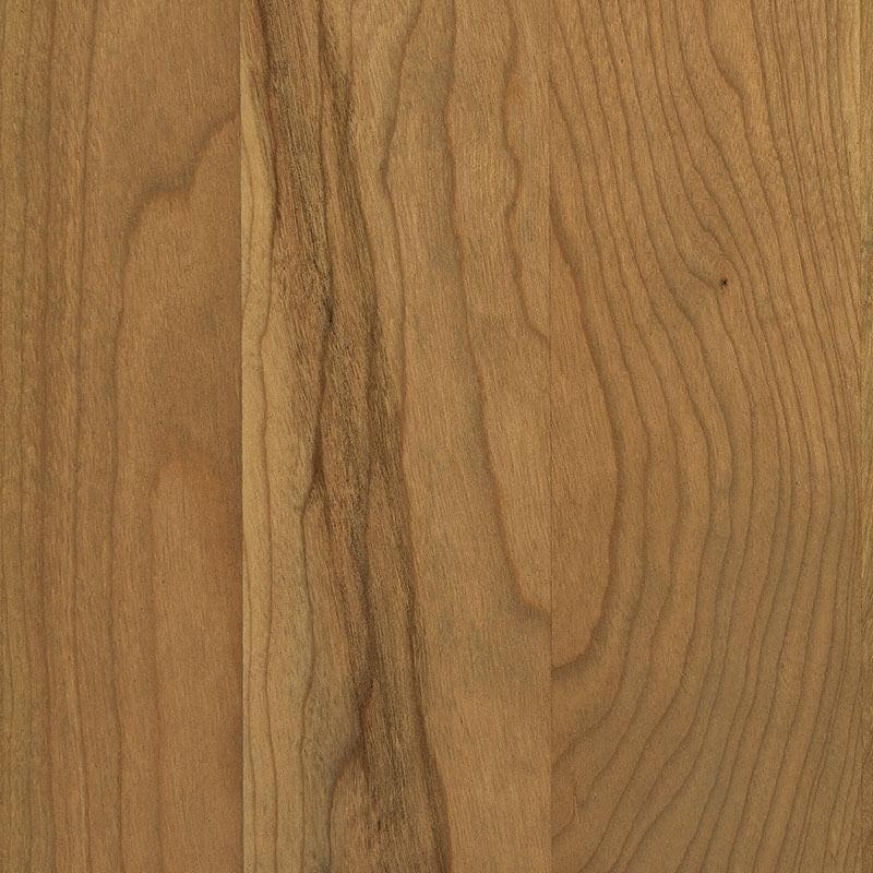 PCL Sample -Sap Cherry - Seashell