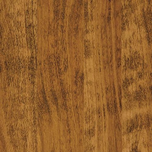 PCL Sample - Sap Cherry - Medium Walnut