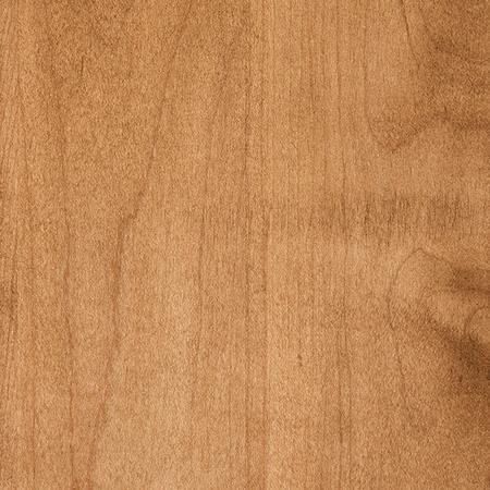 PCL Sample - Hard Maple - Harvest