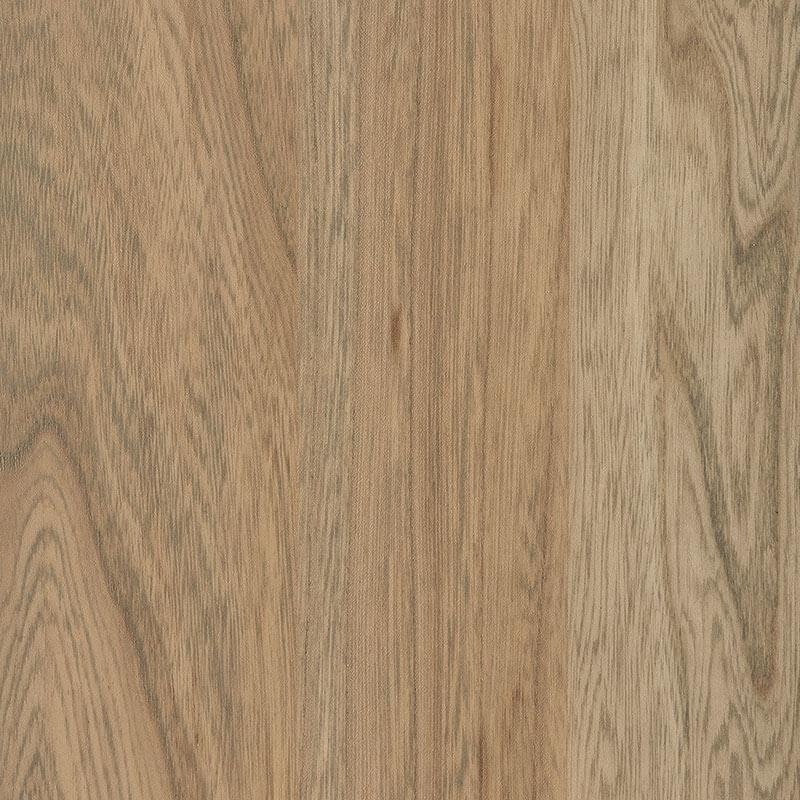 PCL Sample - Elm - Seashell