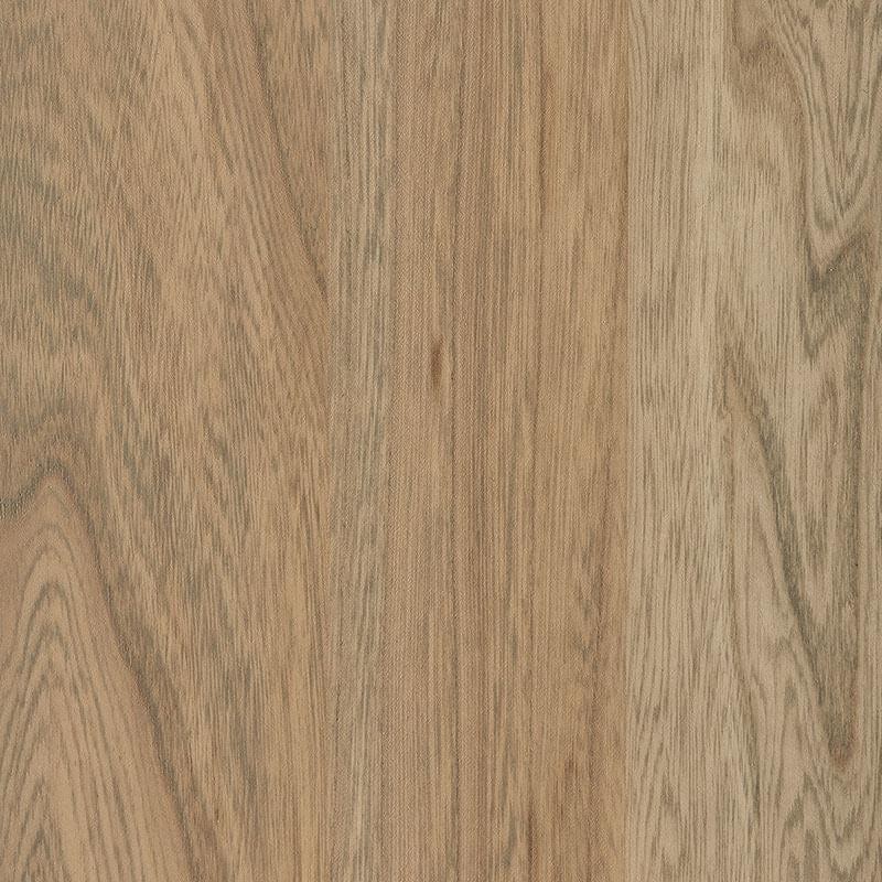 PCL Sample - Elm - Seashell