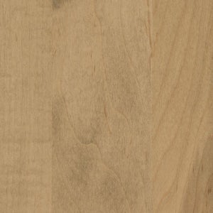 PCL Sample - Brown Maple - Seashell